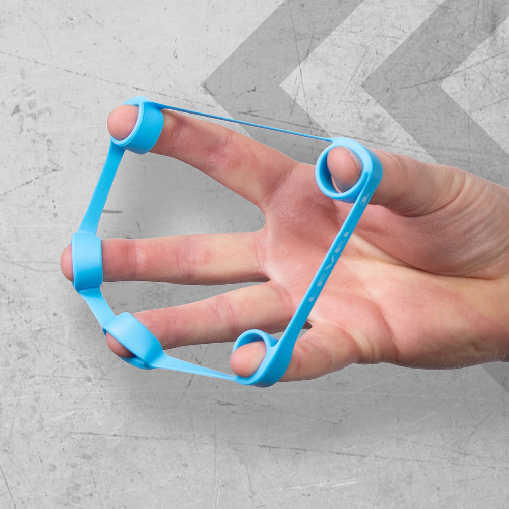 Pinch Grip | Gods Of Grip